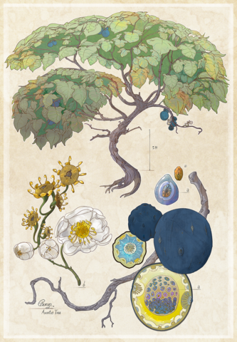 Fanworks/Enuryn - The Wandering Inn Wiki