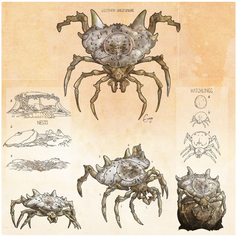 Shield Spiders - The Wandering Inn Wiki