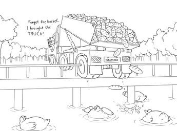 Pirateaba - The Wandering Inn Wiki